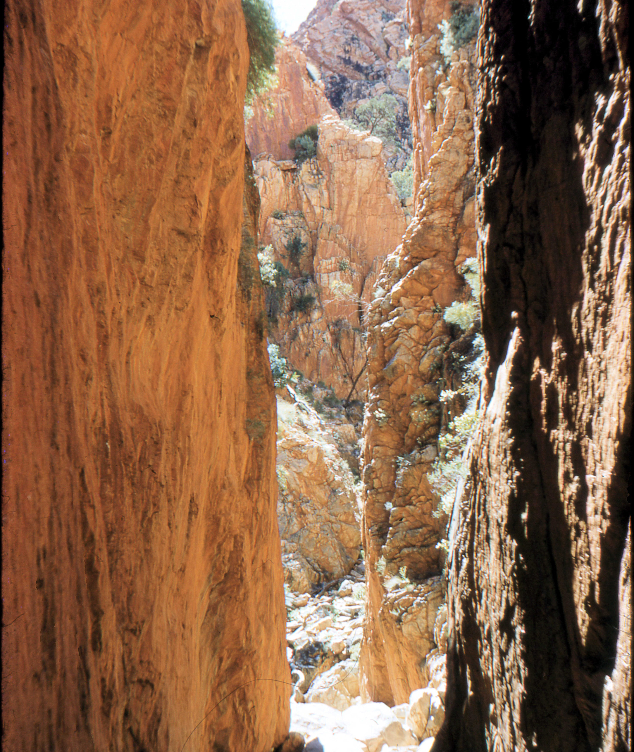 The T-Team with Mr. B: Standley Chasm